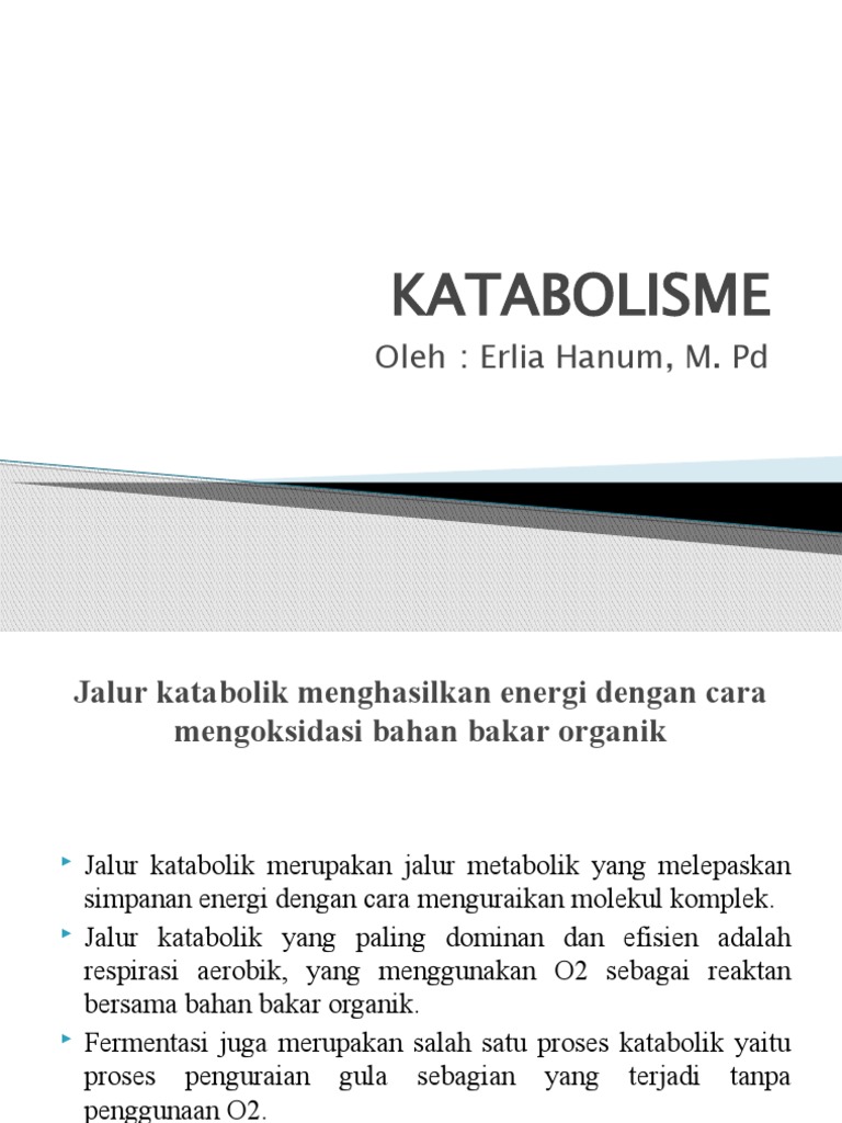 KATABOLISME PPT (Ptmuan II) | PDF