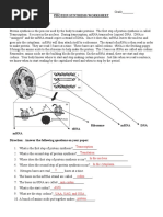 Cell Membrane Bubble Lab - : Student Analysis | PDF | Cell (Biology ...