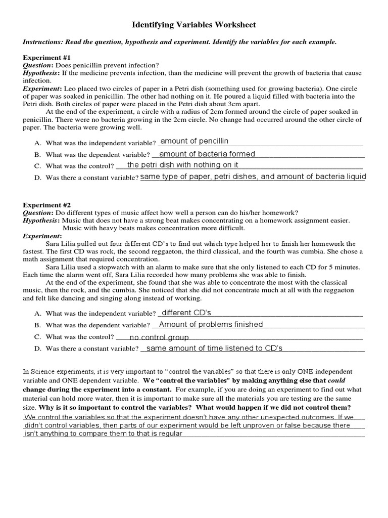 Identifying Variables Worksheet | PDF | Experiment | Water