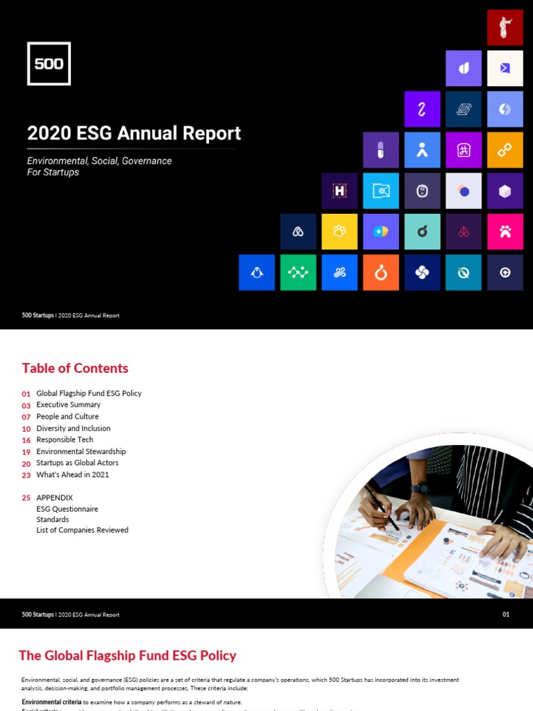 500 ESG Report 2020 | PDF | Startup Company | Small Business ...