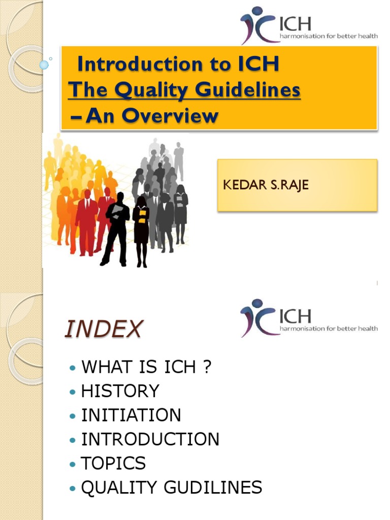 Ich Guidelines 2 | PDF | Risk Management | Chemistry
