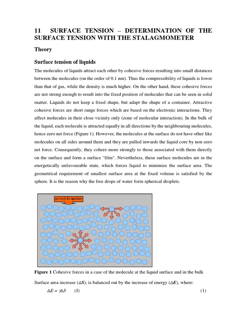 AP11 Surface Tension | PDF | Surface Tension | Liquids