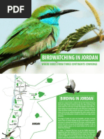Bto Bird Species Codes | PDF