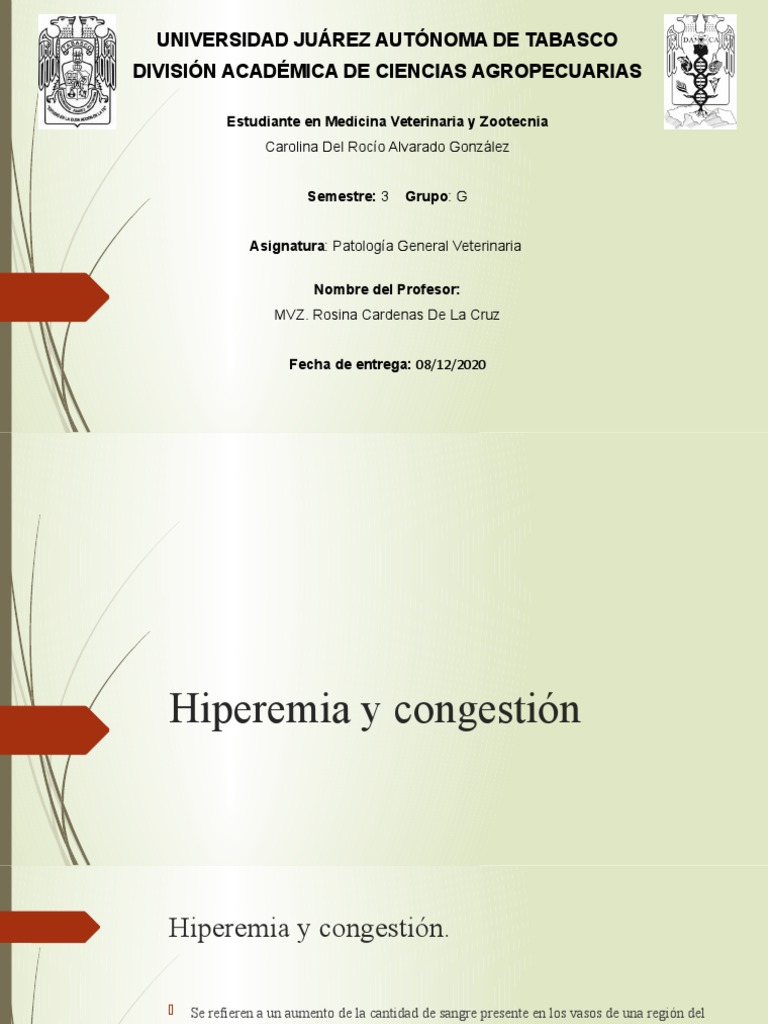 Hiperemia y Congestión | PDF | Trombo | Corazón