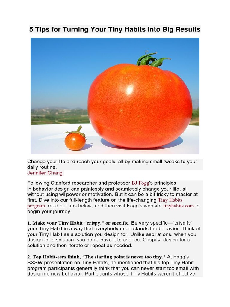 5 Tips For Turning Your Tiny Habits Into Big Results | PDF | Habits ...