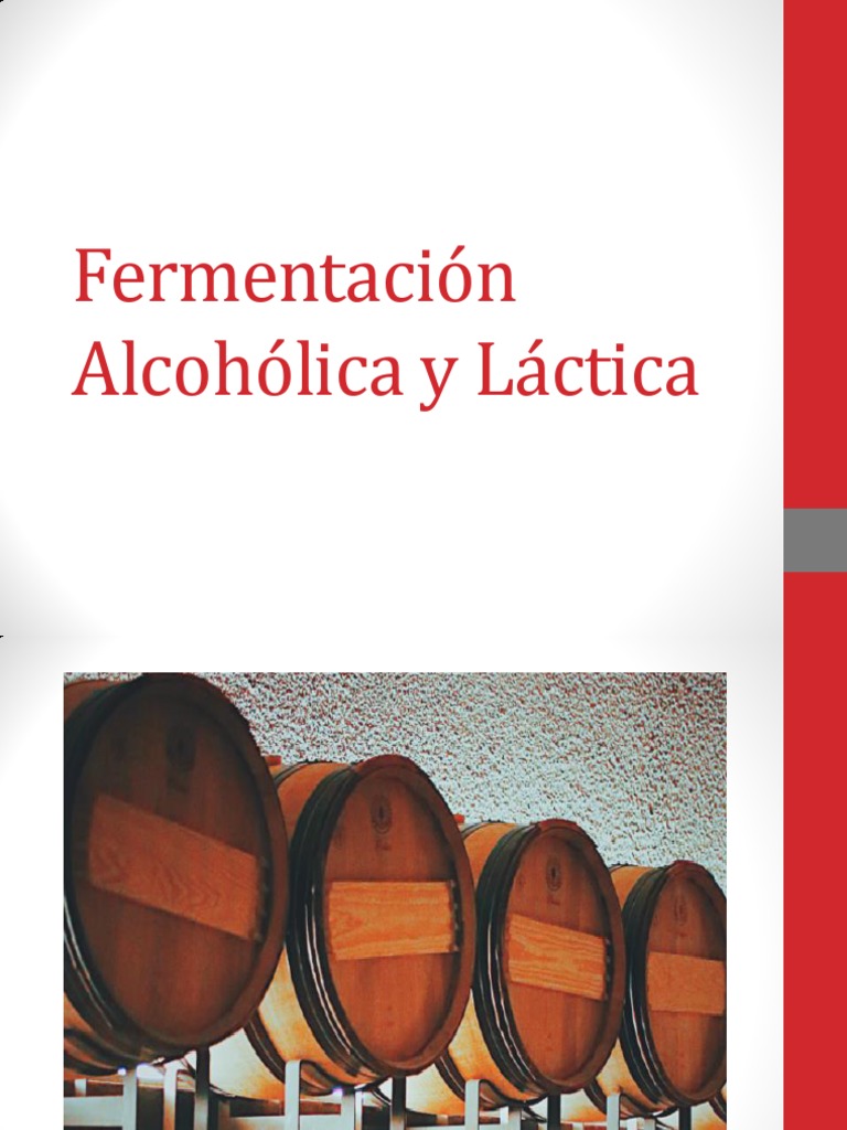 Fermentacion Alcoholica y Lactica | PDF