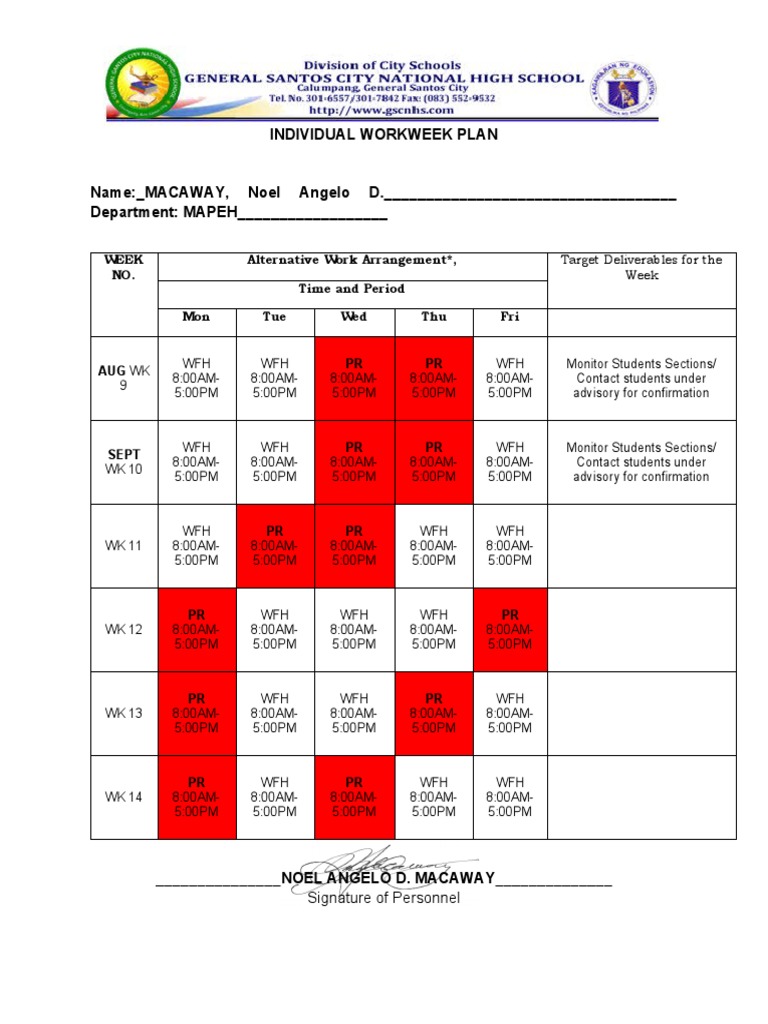 Weekly Work Plan for Noel Macaway | PDF