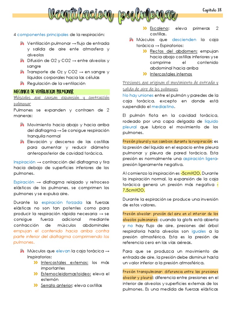 Capitulo 38 Ventilación Pulmonar | PDF | Pulmón | Sistema respiratorio