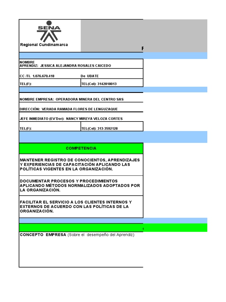 Formato de Bitácora | PDF | Aprendizaje | Business