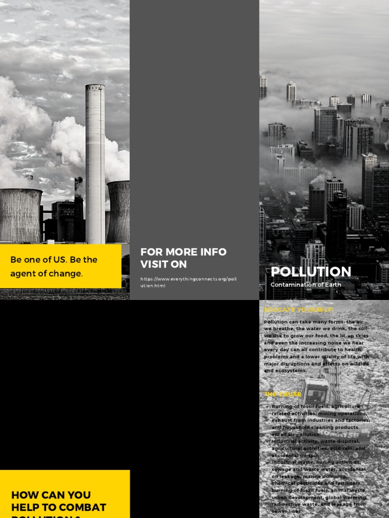 Pollution: For More Info Visit On | PDF | Pollution | Environmental Issues
