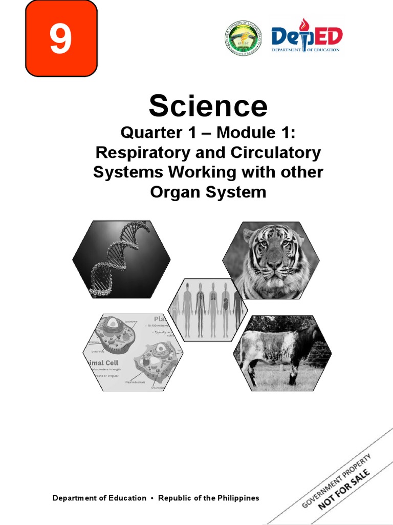 Science 9 Q1 Module 1 Respiratory and Circulatory With Key Answer | PDF ...