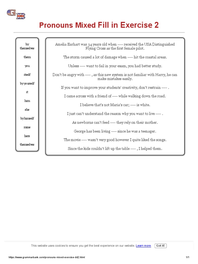 Pronouns Mixed: Fill in Exercise 2 | PDF