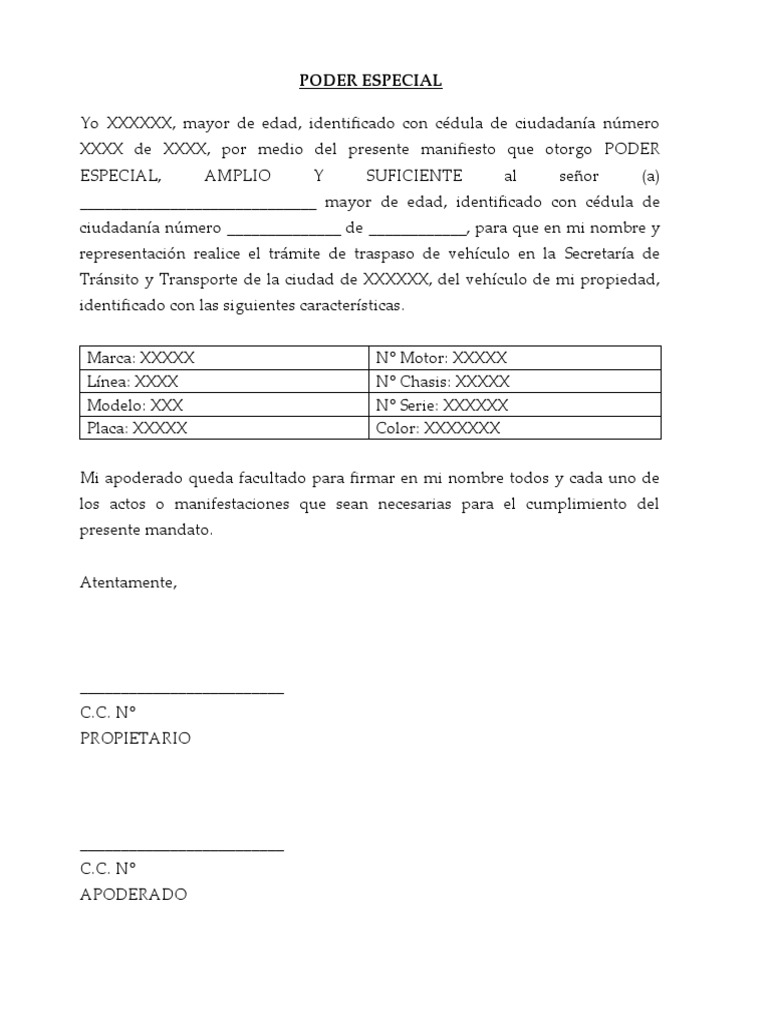 Modelo Poder Especial Traspaso de Vehiculo | PDF