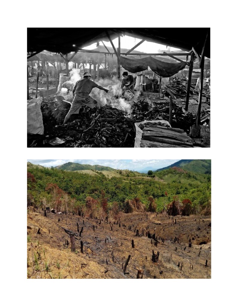 Charcoal Making and Kaingin | PDF