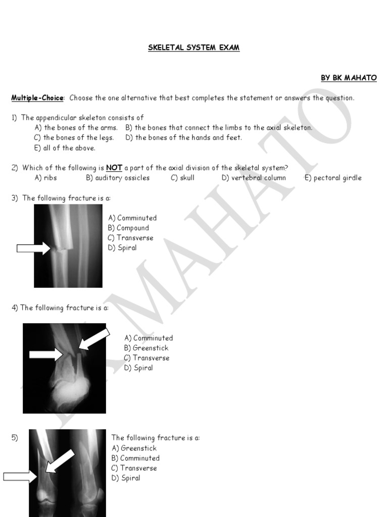 Skeletal System Exam | PDF | Bone | Osteoblast