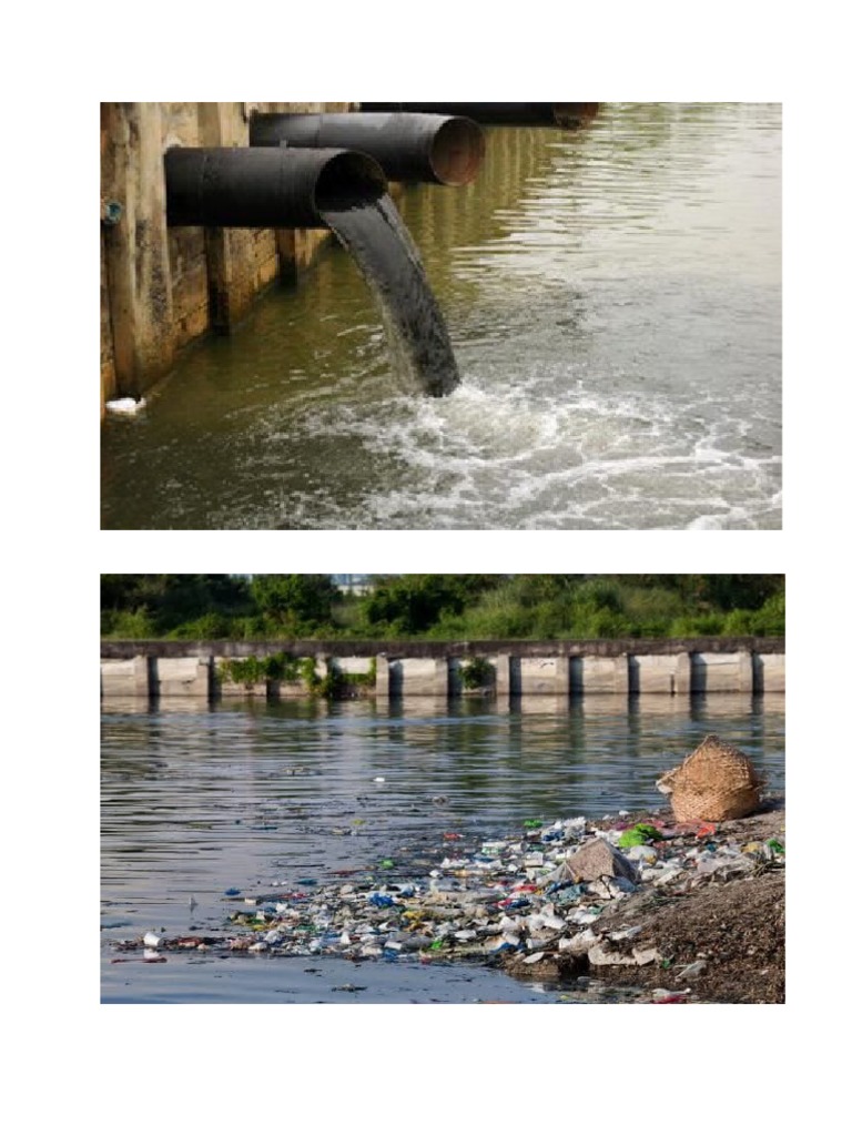 Improper Sewage Disposal and Improper Waste Disposal | PDF