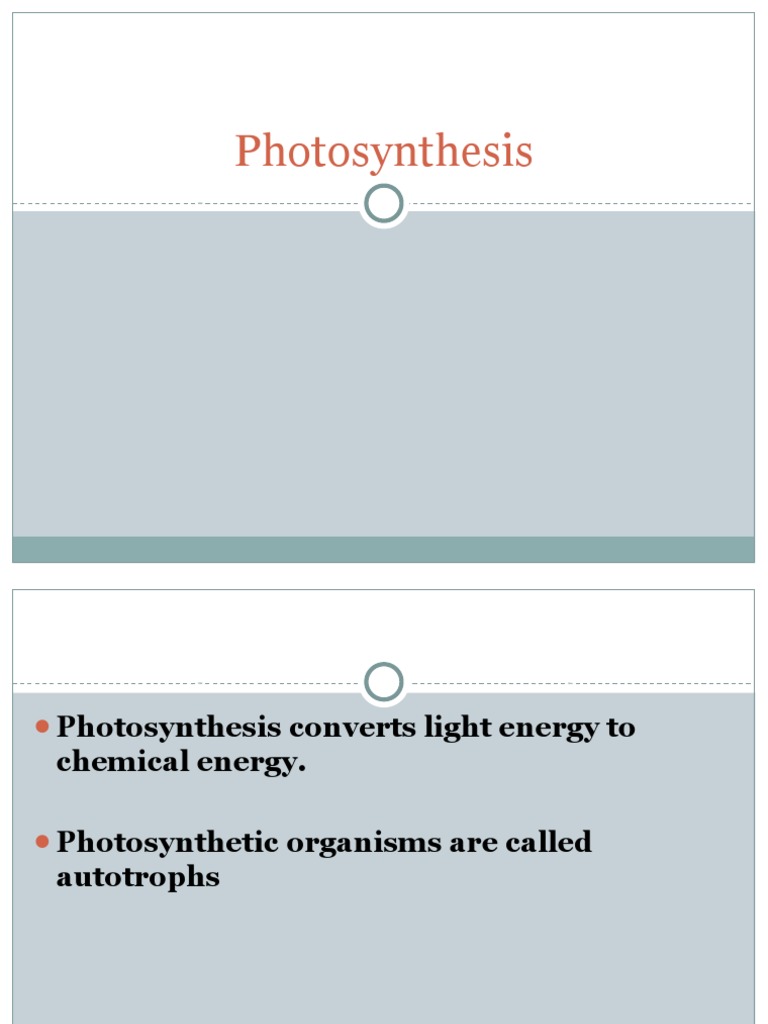 Photosynthesis Core and HL | PDF