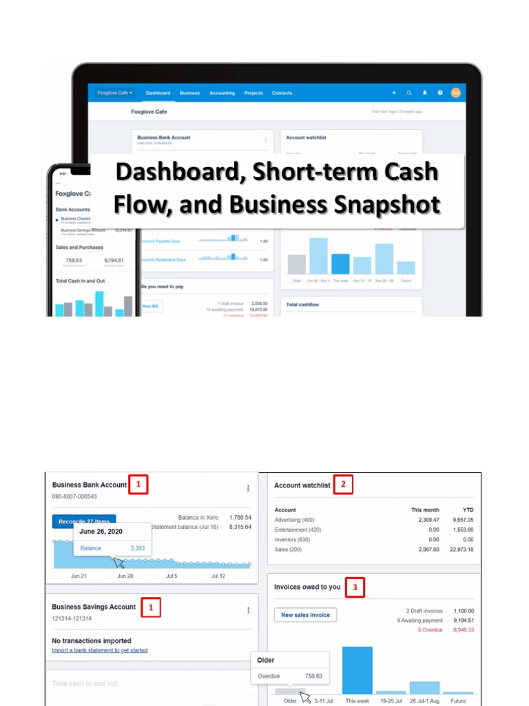 Analyzing Short-Term Cash Flow and Business Performance with Xero Dashboards | PDF | Accounts ...