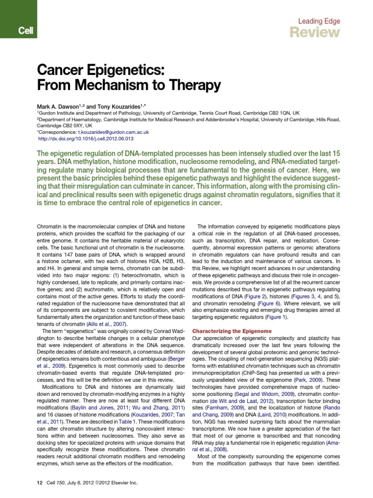 Cancer Epigenetics: Mechanisms & Therapy | PDF | Epigenetics | Dna ...