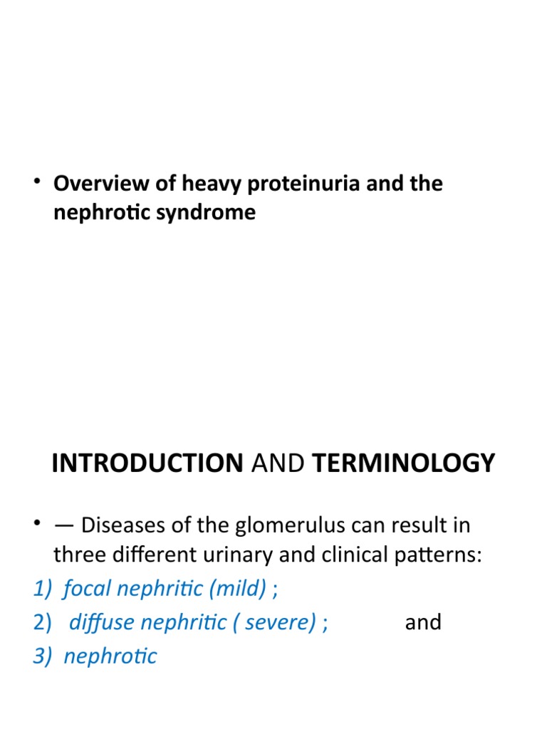 Overview of Heavy Proteinuria and The: Nephrotic Syndrome | PDF ...