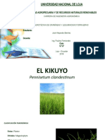Ficha Técnica Del Pasto Guinea (Panicum Máximum Cv. Guinea Común) | PDF