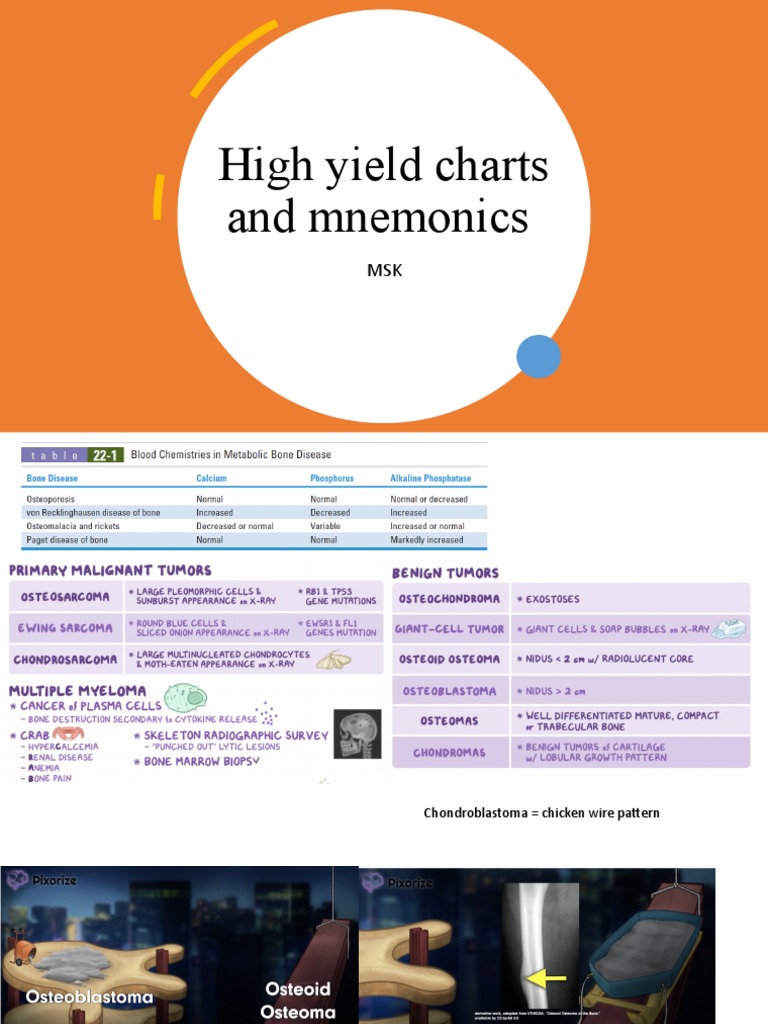 High Yield Charts and Mnemonics | PDF