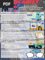 Guía de PROCADIST | PDF