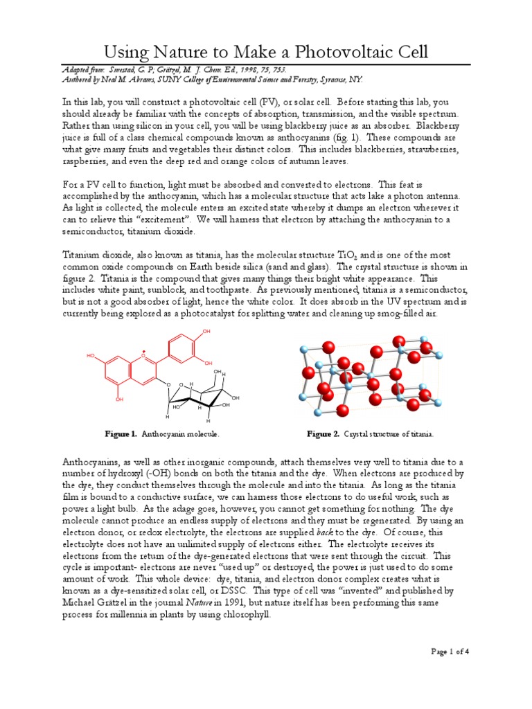 Making A Natural Photovoltaic Cell | PDF | Solar Cell | Chemistry