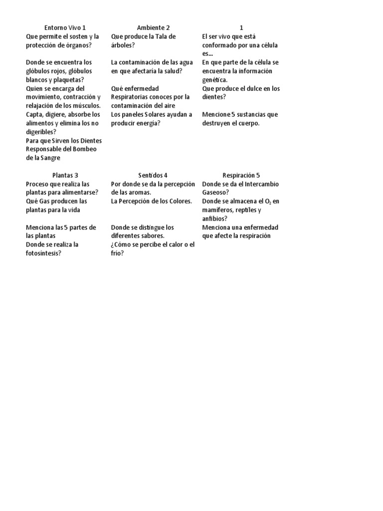 Tarjetas de Preguntas | PDF