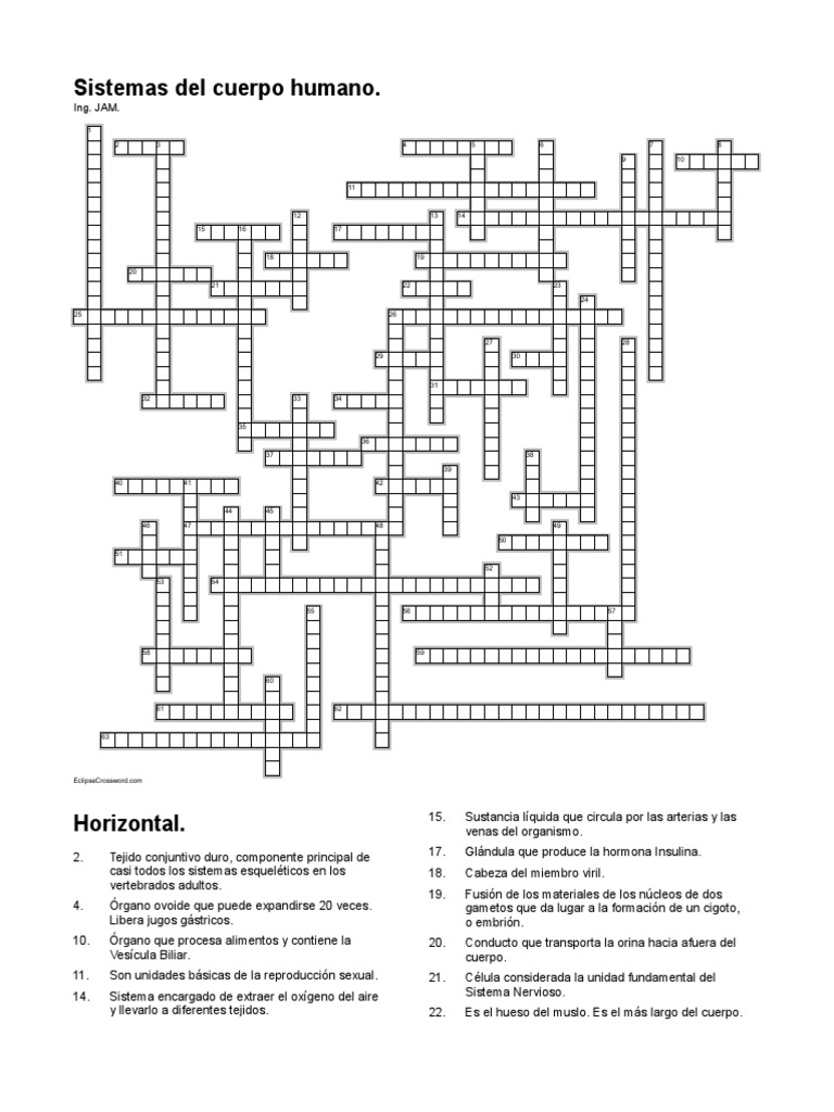 Crucigrama Sistemas de Cuerpo Humano | PDF | Sangre | Sistema digestivo ...
