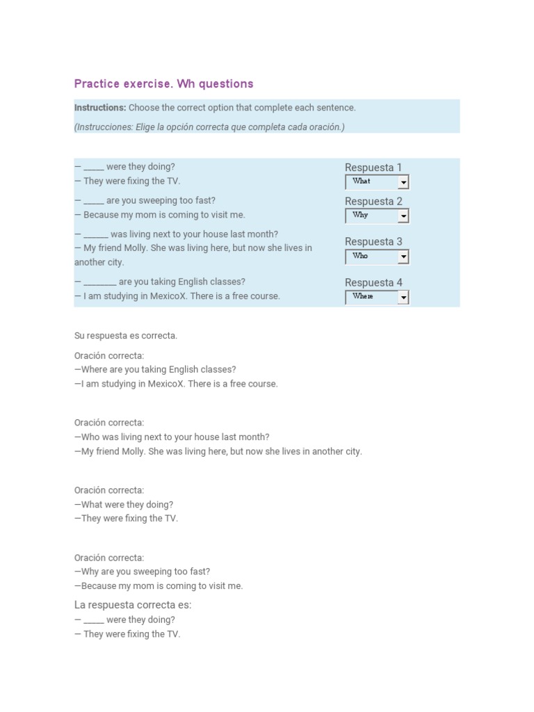 WH Questions Practice Exercise | PDF