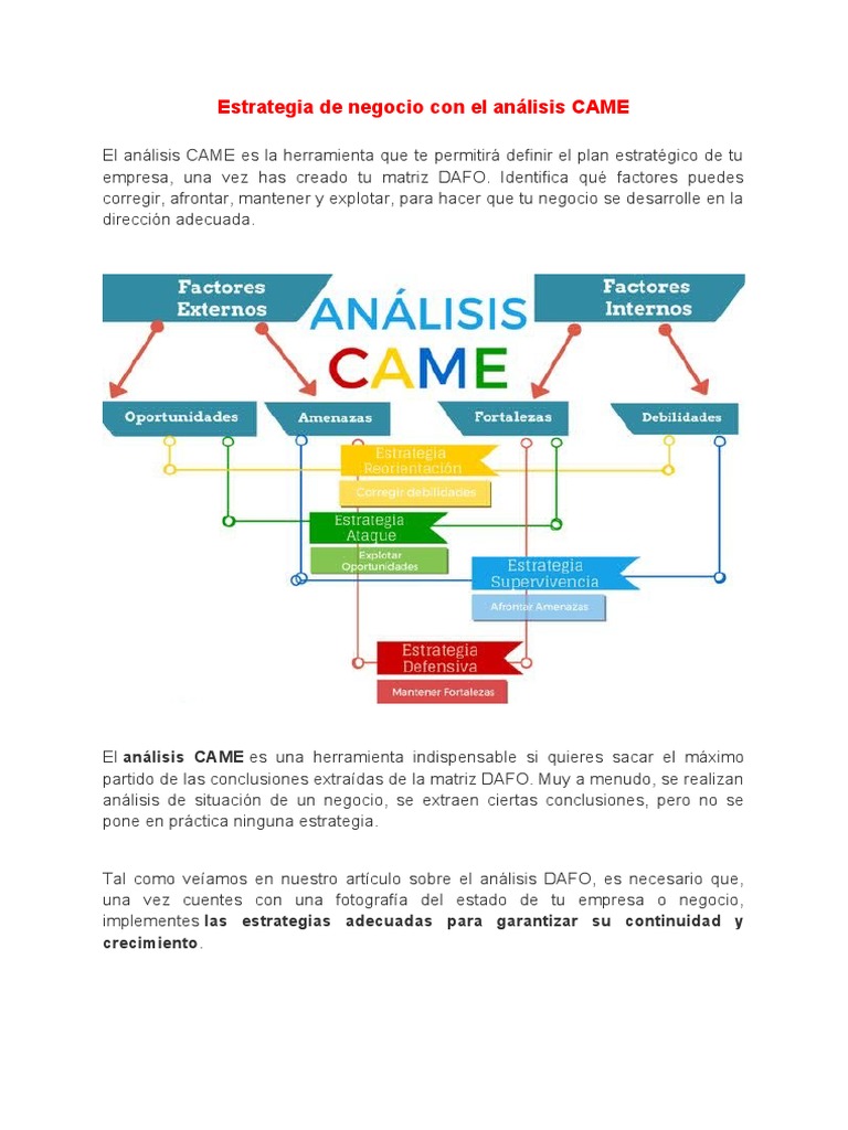 Análisis CAME | PDF