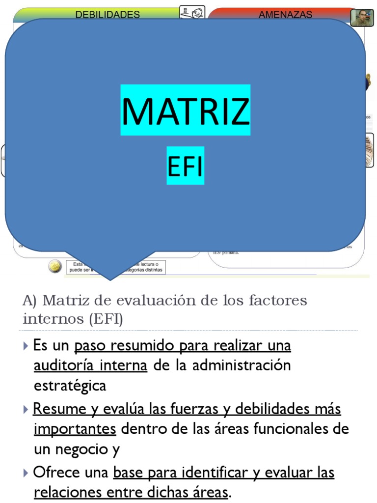 Matriz Efi | PDF | Business | Economias