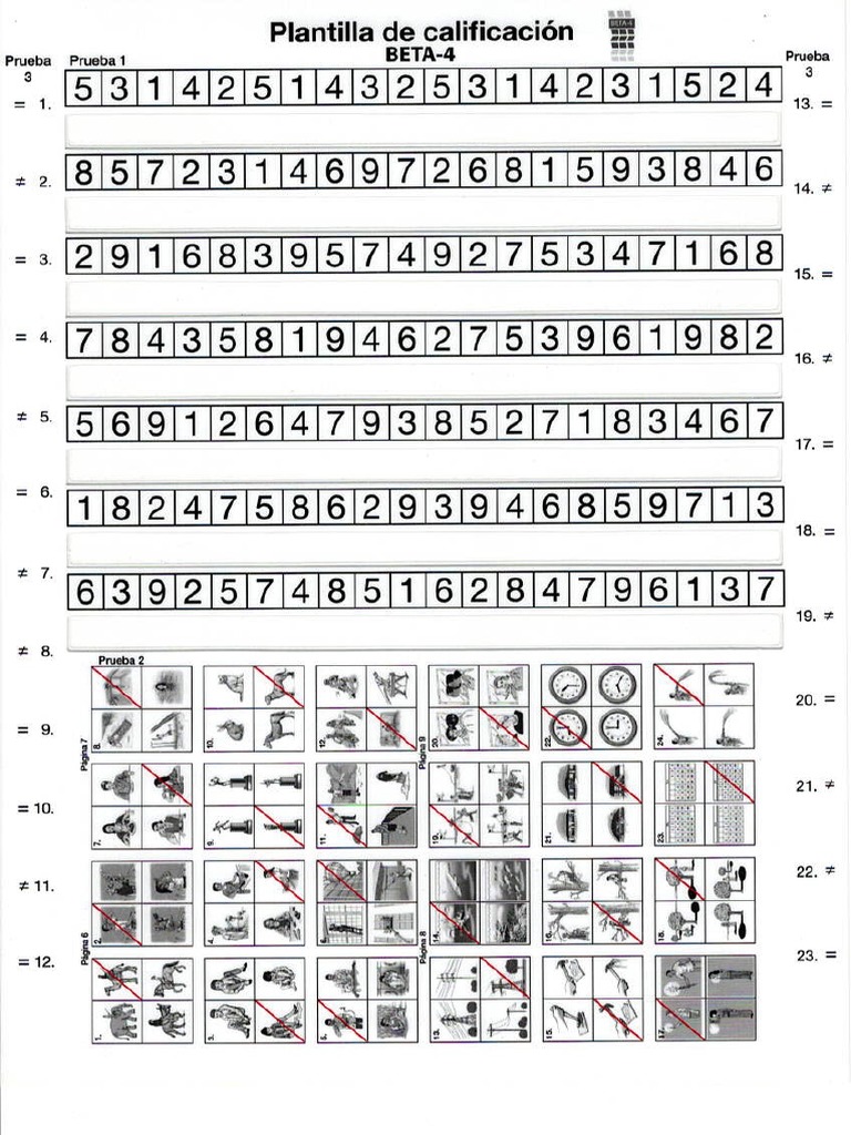 Beta 4 Plantilla | PDF