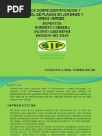 FRASES H y P Productos Quimicos Peligrosos | PDF | Alergia | Agua
