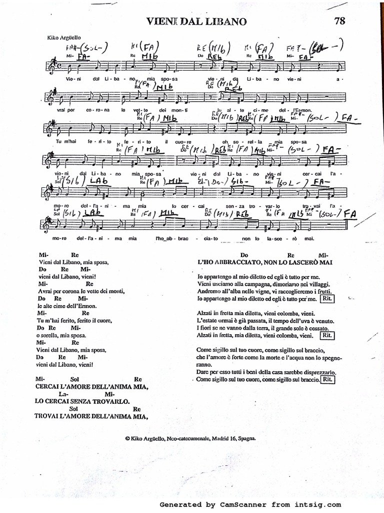 CamScanner Document Overview | PDF | Technology & Engineering