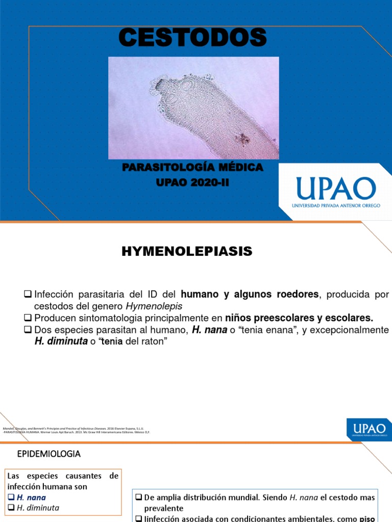 Hymenolepiasis: Infección por Cestodos | PDF | Heces | Especialidades ...