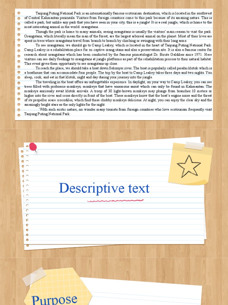 Descriptive Text | PDF | Orangutan | Linguistics