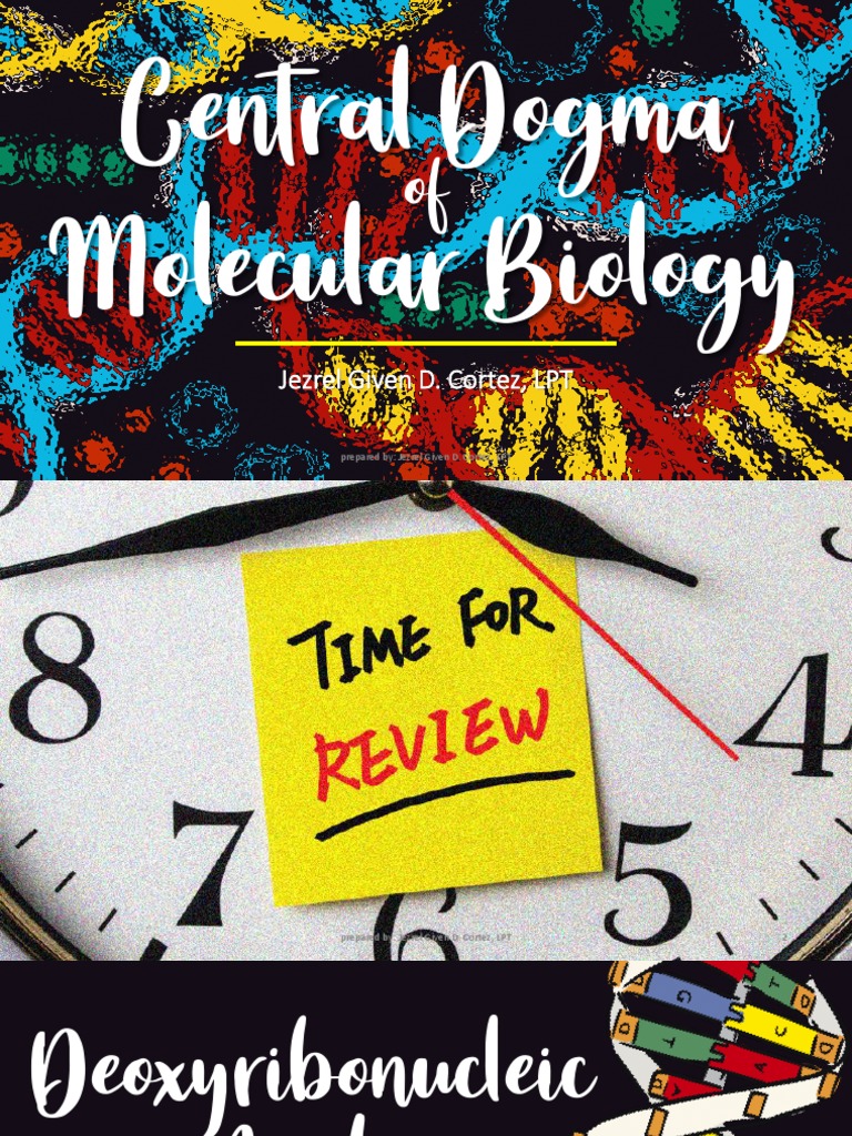 Central Dogma Molecular Biology: Jezrel Given D. Cortez, LPT | PDF ...