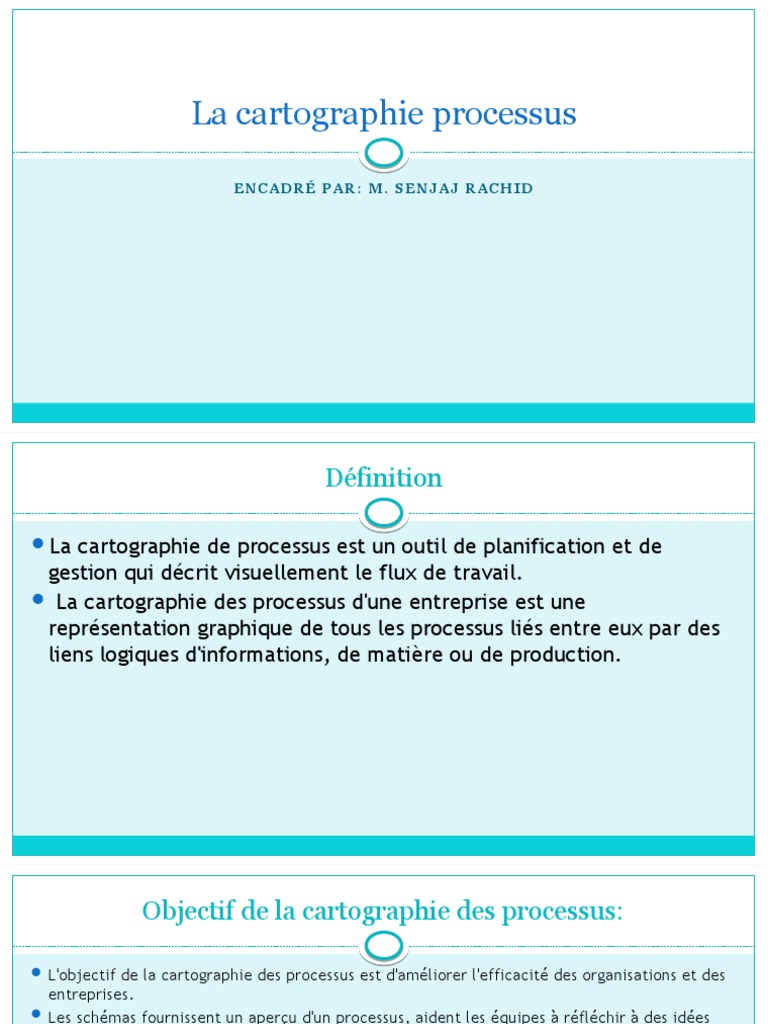 Cartographie des processus : Guide pratique | PDF | Cartographie ...