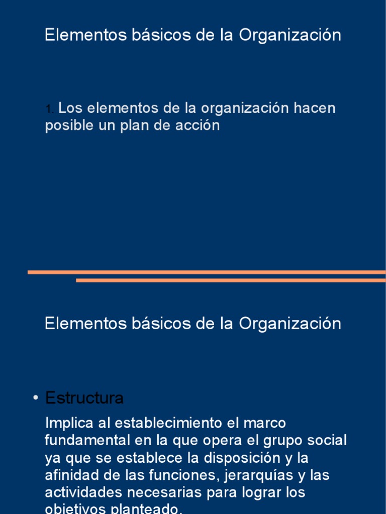 Elementos Basico de Las Organizaciones | PDF