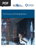 The 12 Page ORSA | PDF | Risk | Risk Management