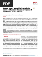 Neonatal Energy Triangle Part 1 | PDF | Hypoglycemia | Health Sciences