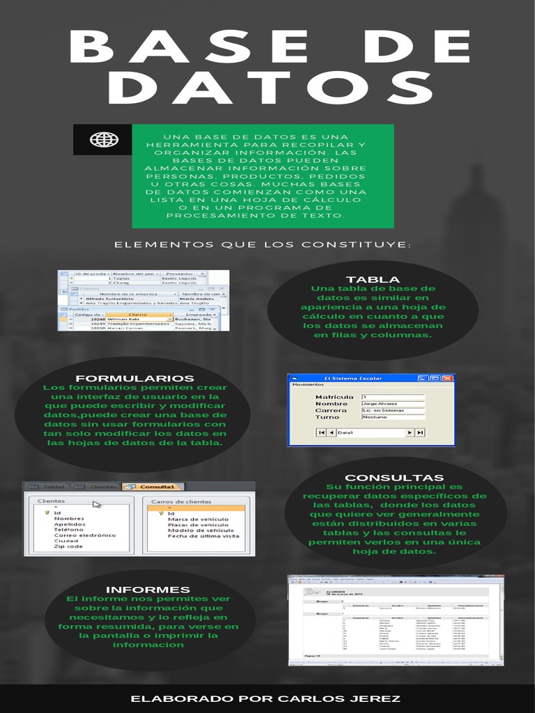 Infografia de Base de Datos | PDF