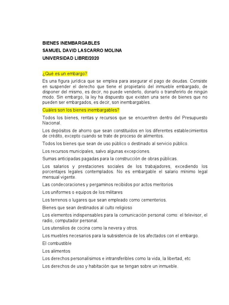 Bienes Inembargables | PDF