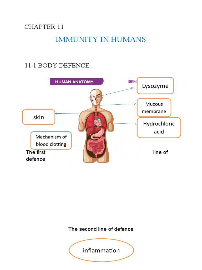 Biology Form 4 KSSM Chapter 11 | PDF