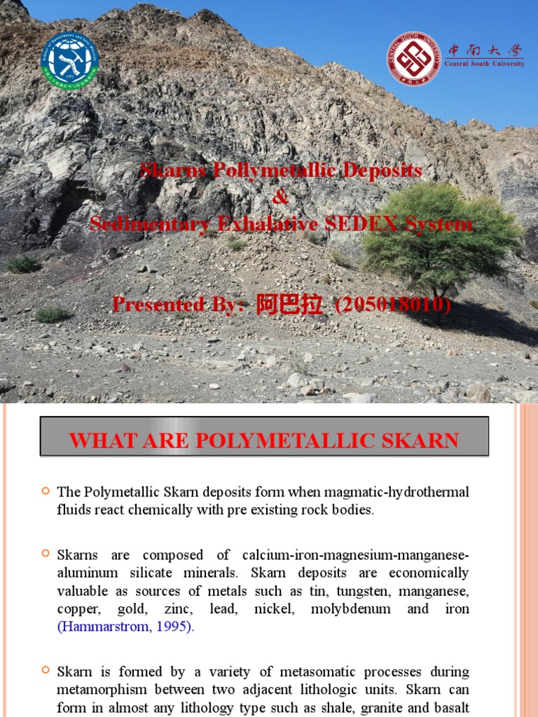 Skarns and Sedex Deposits | PDF | Rocks | Petrology