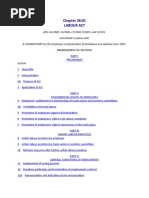 Labour Institutions Act Overview 2007 | PDF | Employment | Labour Law