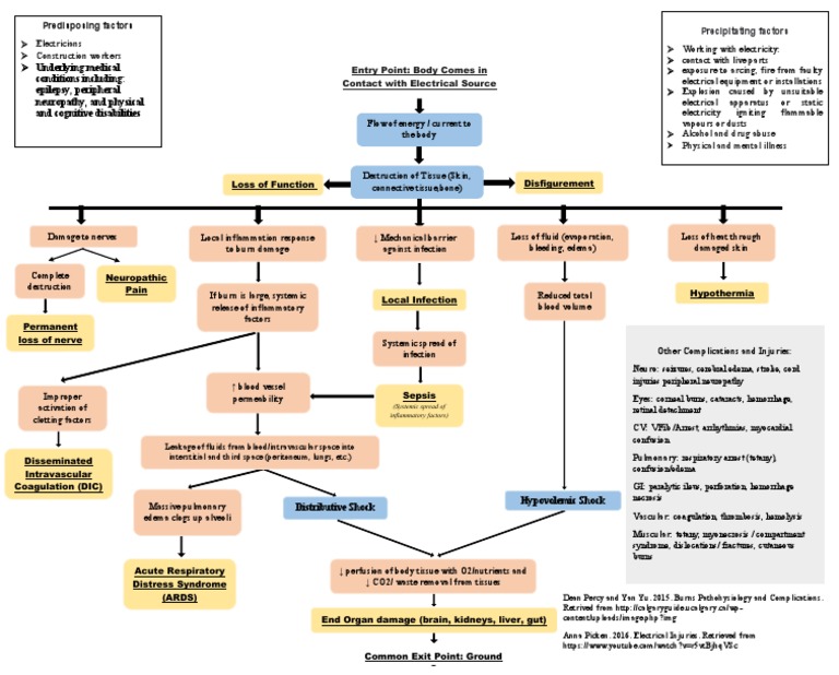 Electrical Burn Pathophysiology | PDF | Burn | Edema
