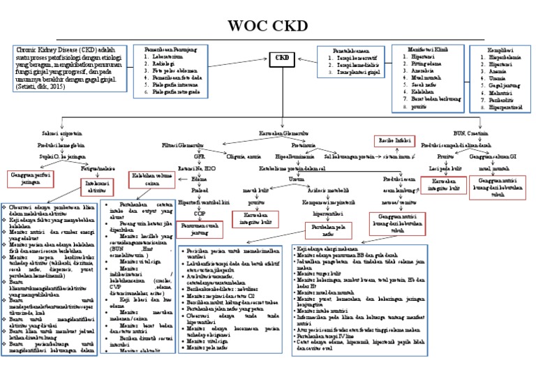 Woc CKD | PDF
